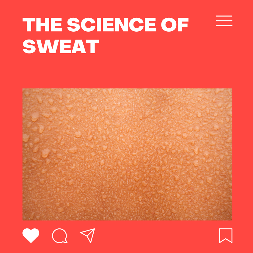 The Science of Sweat – Active Deo